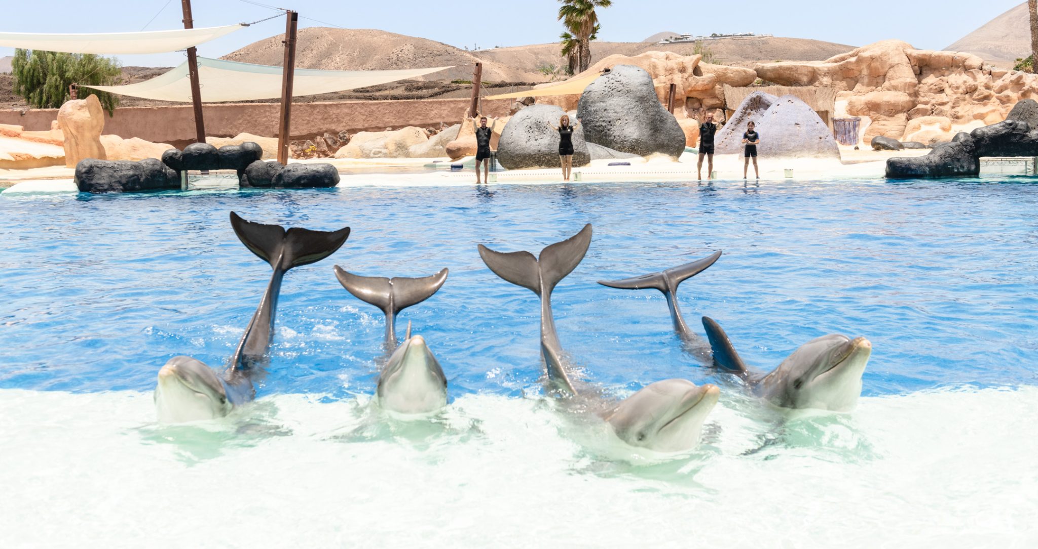 Rancho Texas Park | Web Oficial